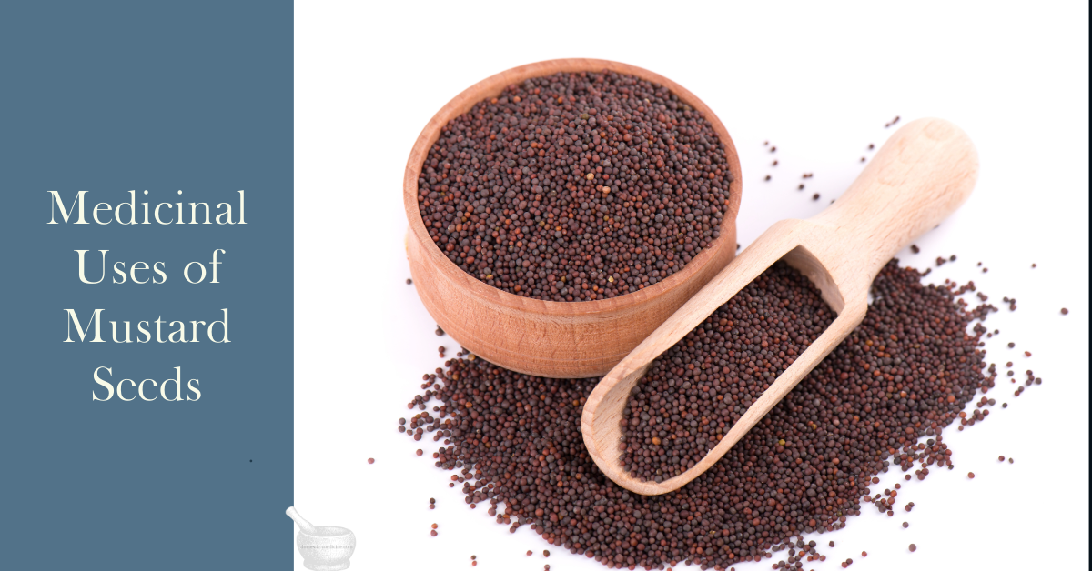 A Brief History of the Sinapsis Family (Featuring my Favorite Mustard ...