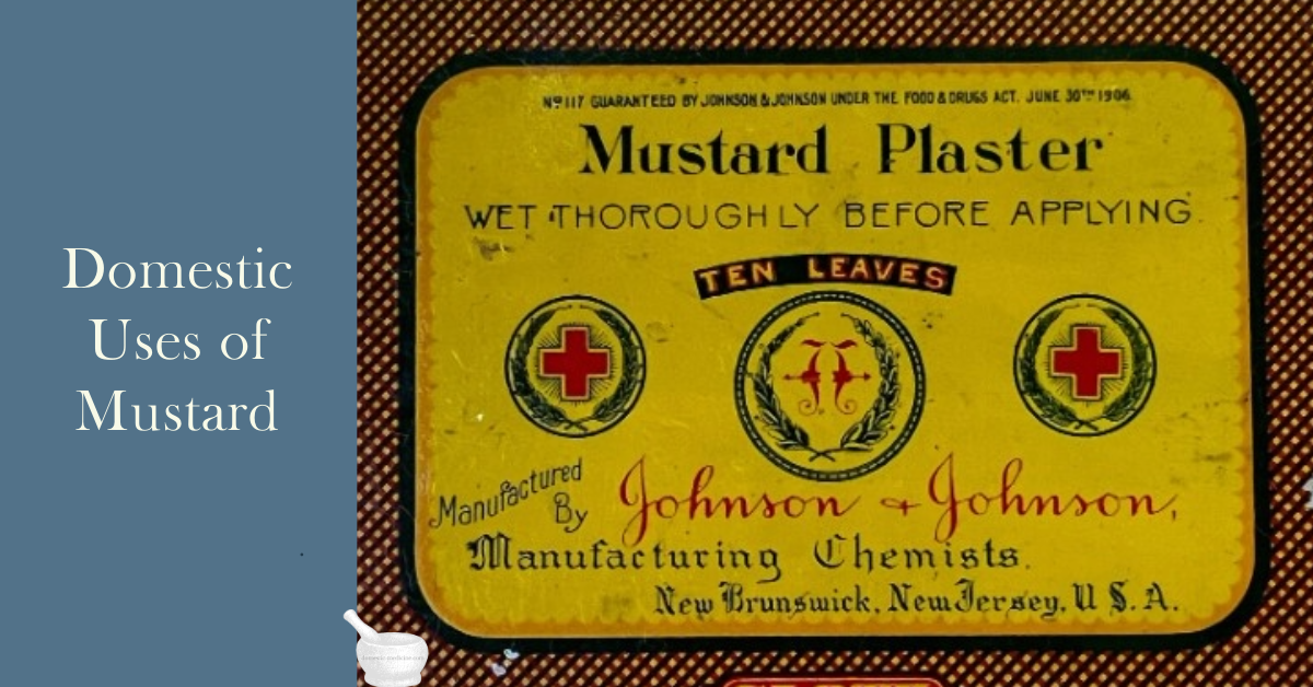 A Brief History of the Sinapsis Family (Featuring my Favorite Mustard ...