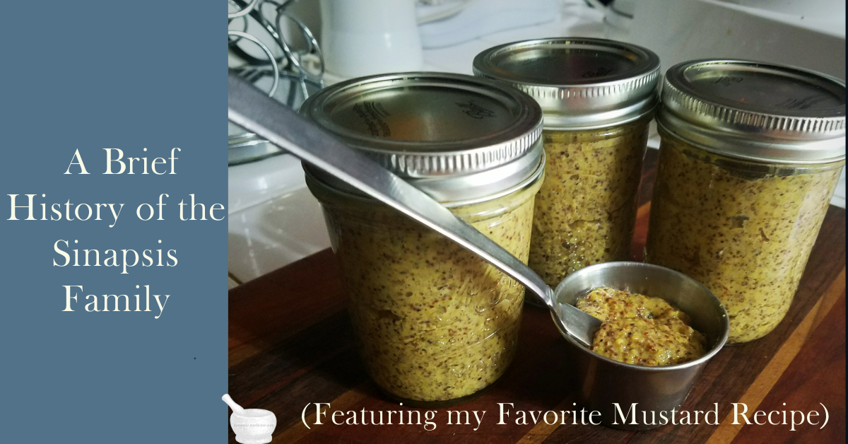 A Brief History of the Sinapsis Family (Featuring my Favorite Mustard ...