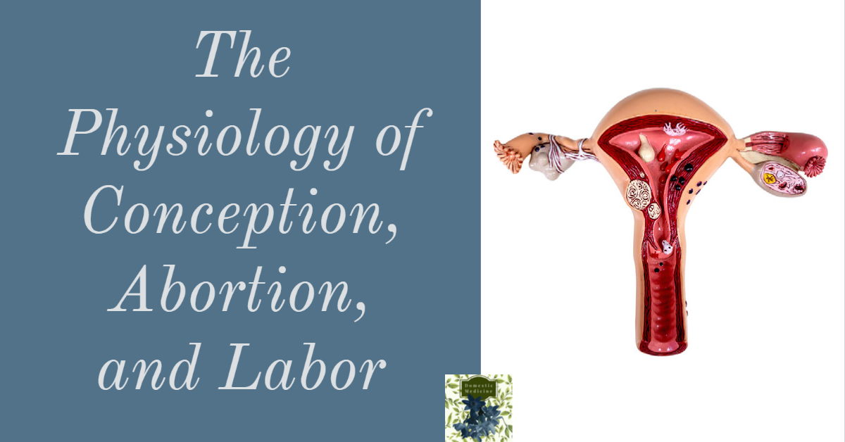 A Brief Physiology of Conception, Abortion & Labor – Domestic Medicine
