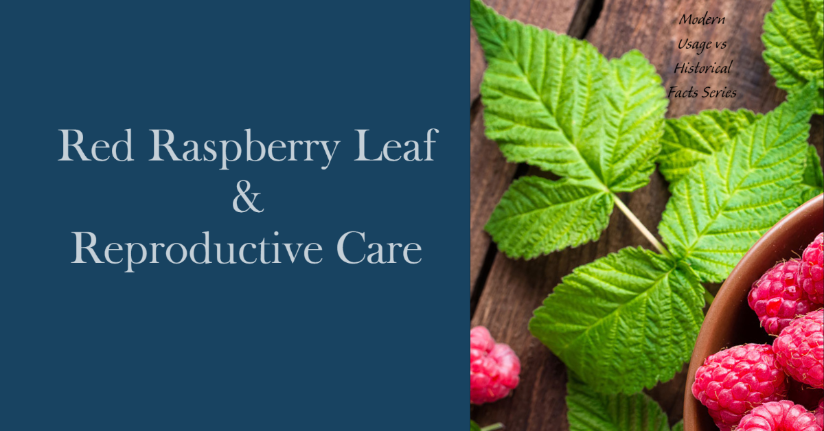 Red Raspberry Leaf and Reproductive Care – Domestic Medicine
