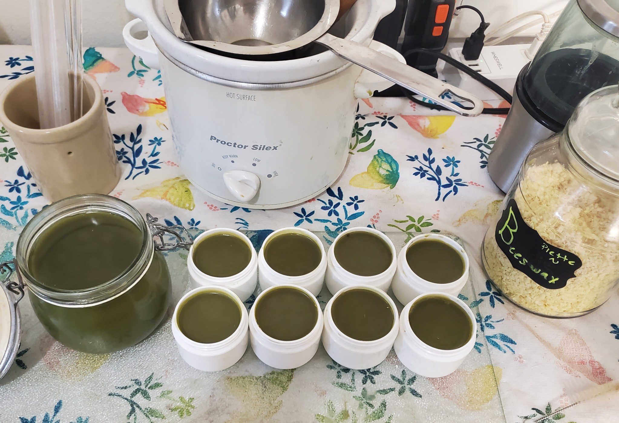 Making A Green Salve – Domestic Medicine