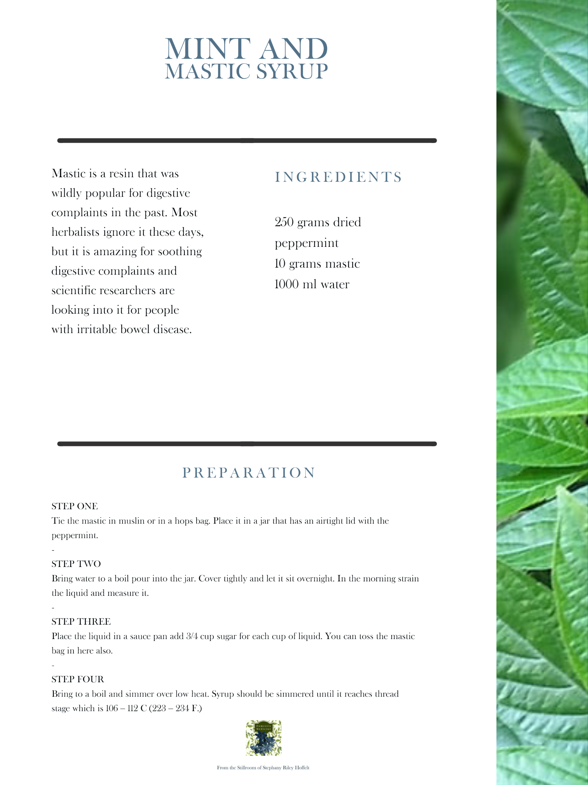 Mint & Mastic Syrup – Domestic Medicine