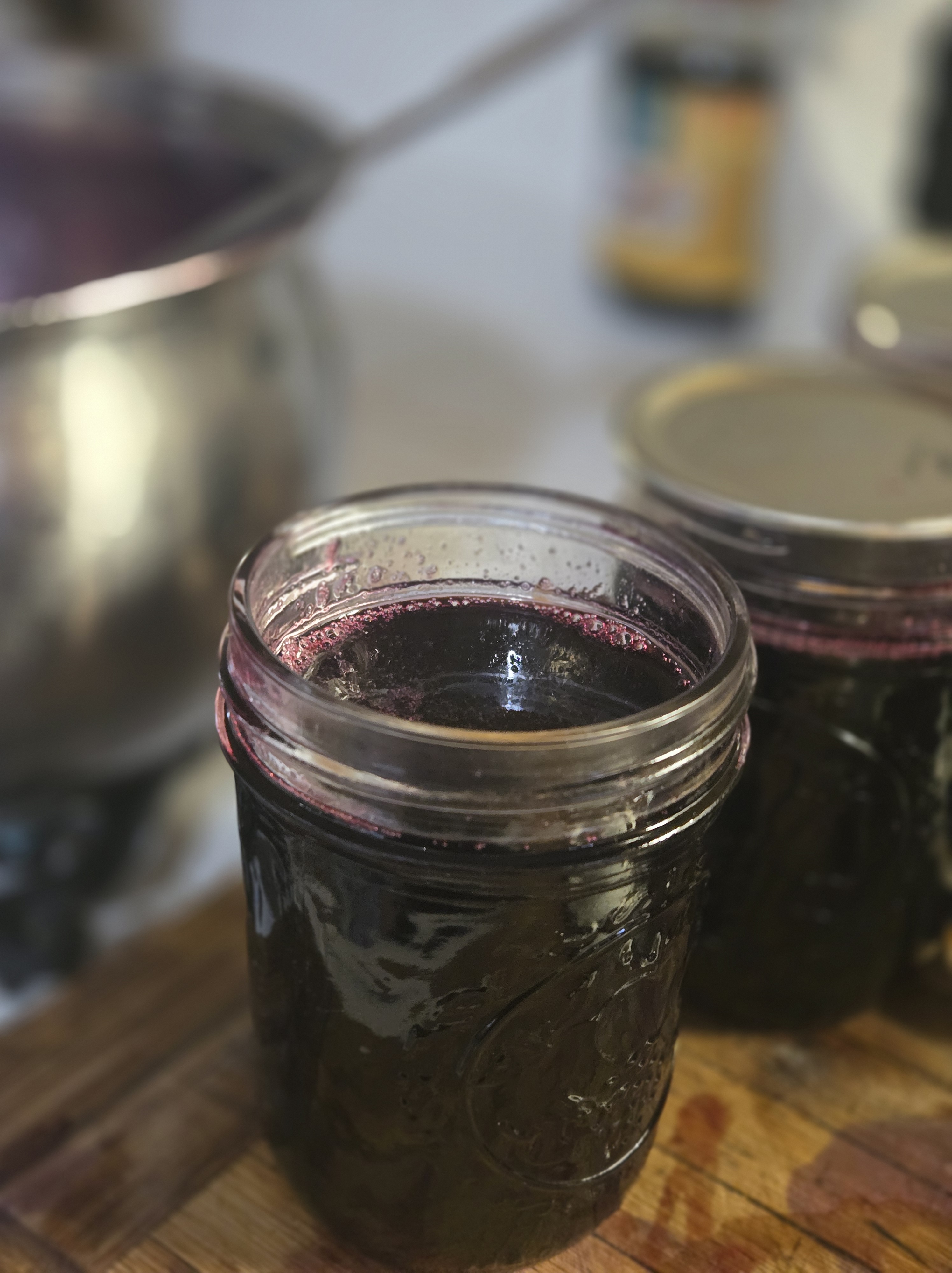 Black Currant Jelly – Domestic Medicine