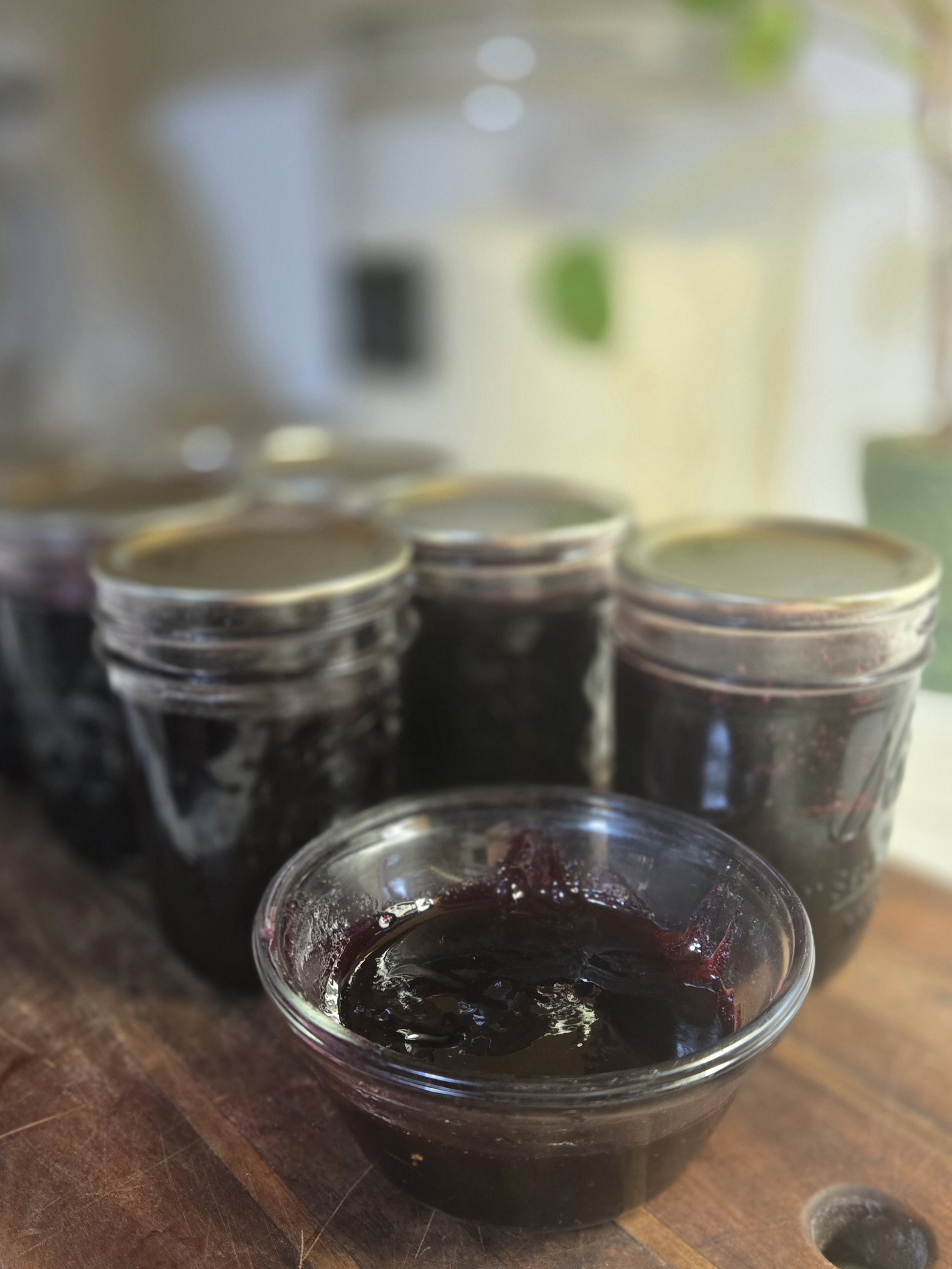 Black Currant Jelly – Domestic Medicine