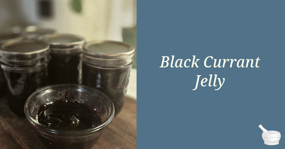 Black Currant Jelly – Domestic Medicine