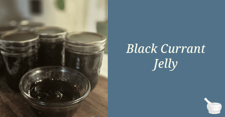 Black Currant Jelly – Domestic Medicine